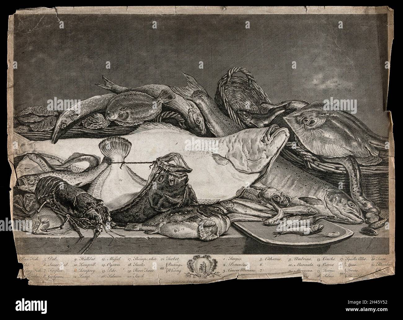 Fish, eels, shellfish and crustaceans (22 different varieties), lying ...