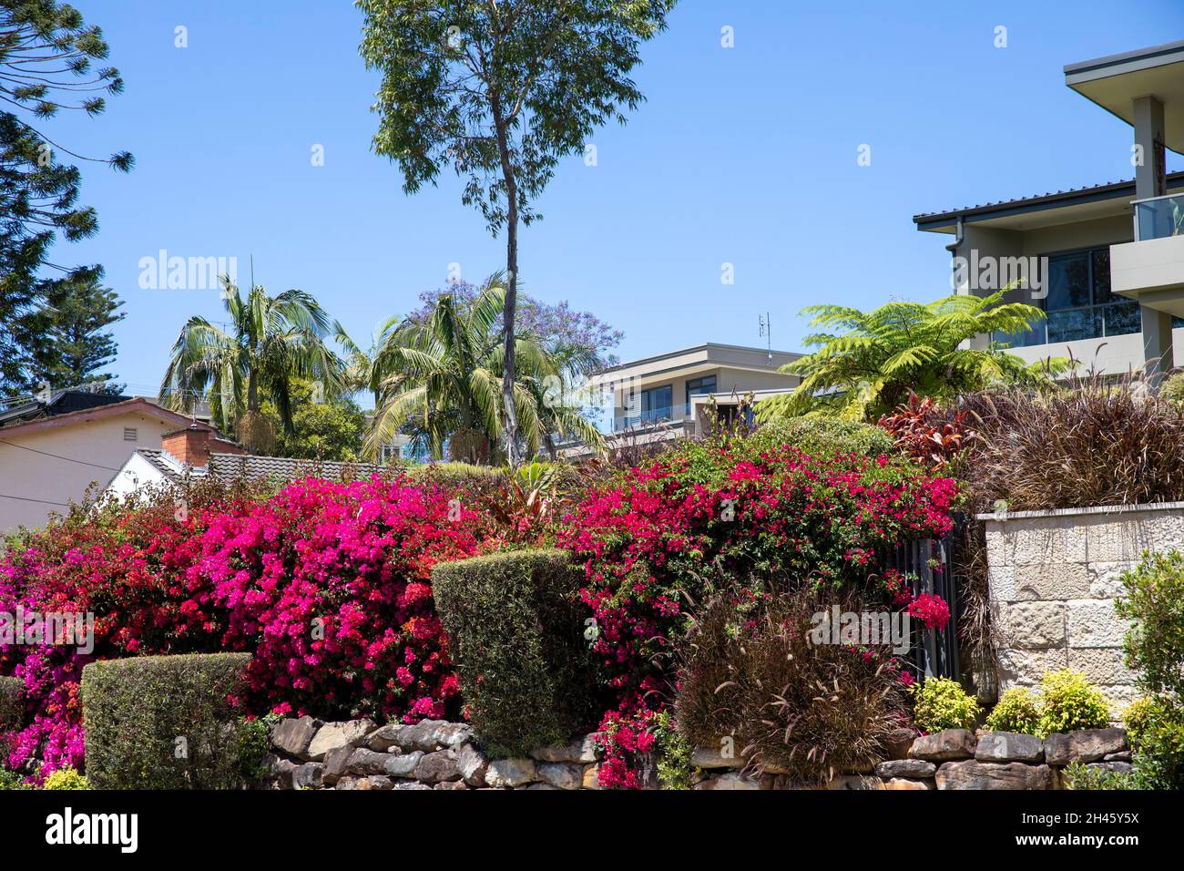 Bayview pittwater nsw australia hi-res stock photography and images - Alamy