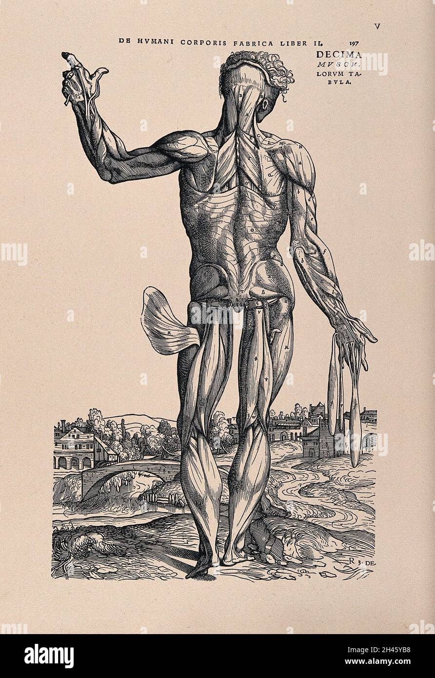 Muscle man, in a landscape, seen from the back. Photolithograph, 1940 ...