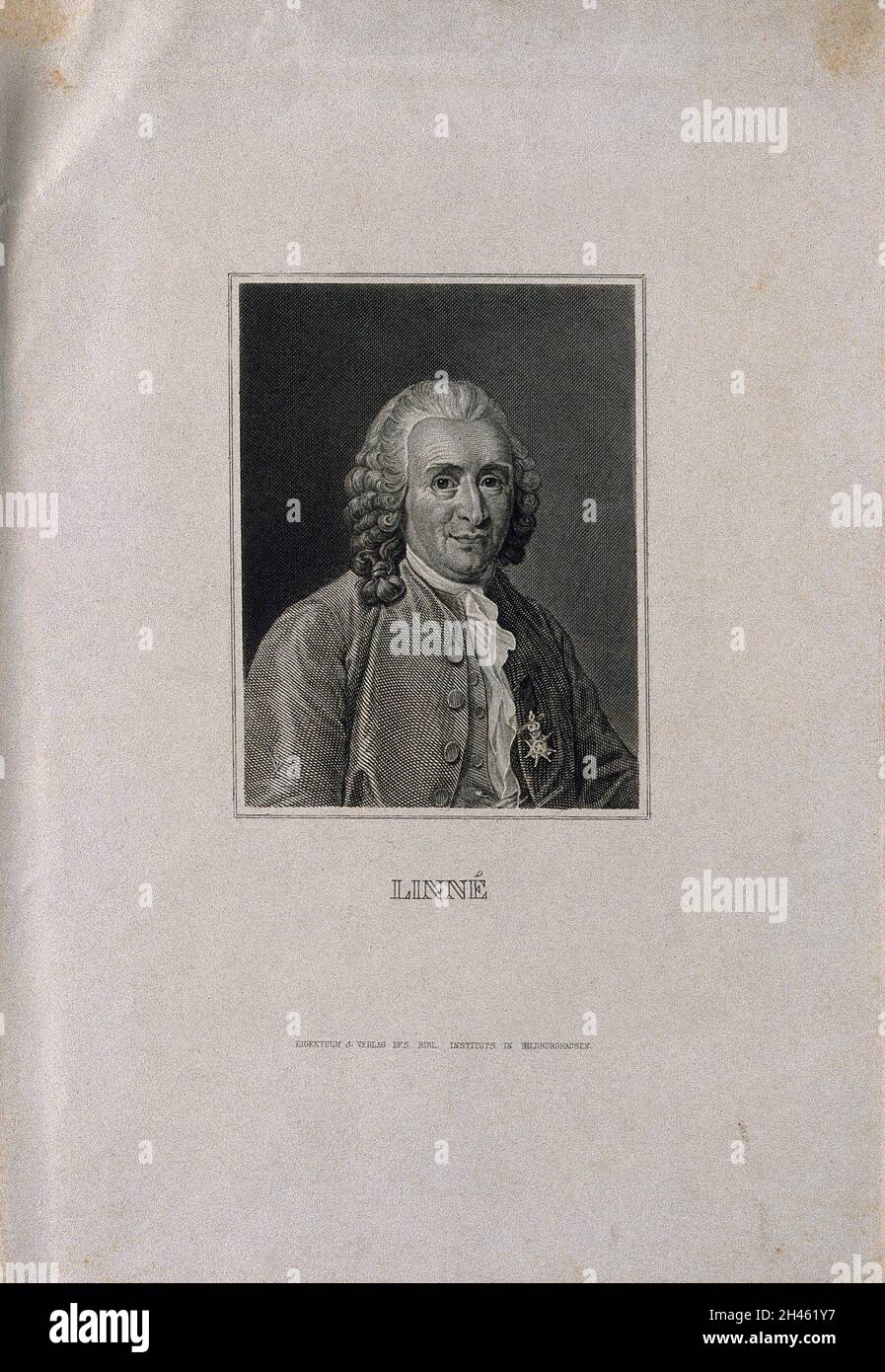 Carolus Linnaeus. Line engraving after A. Roslin, 1775 Stock Photo - Alamy
