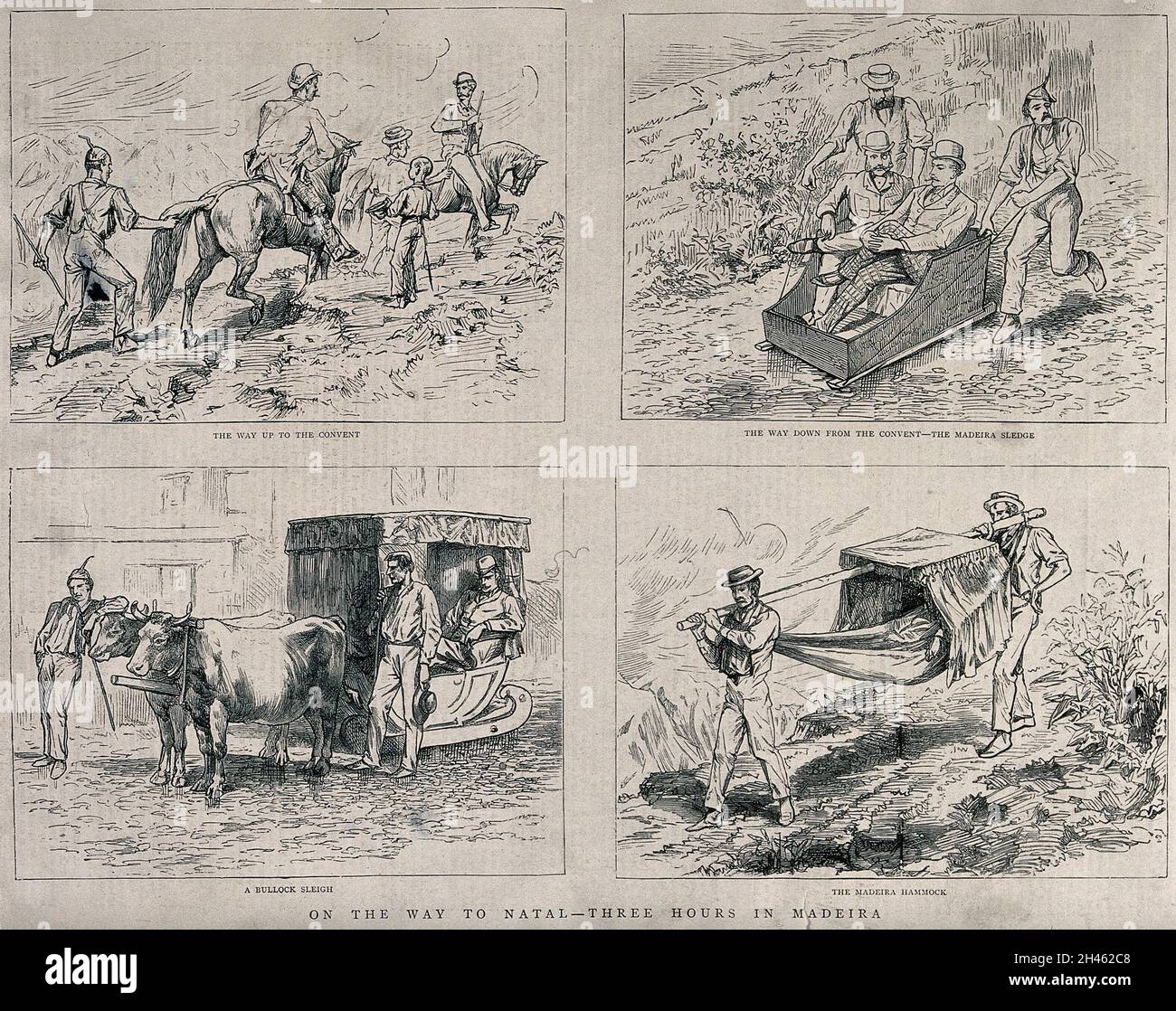 Horseback, sledge, sleigh and a hammock used as modes of transport in ...