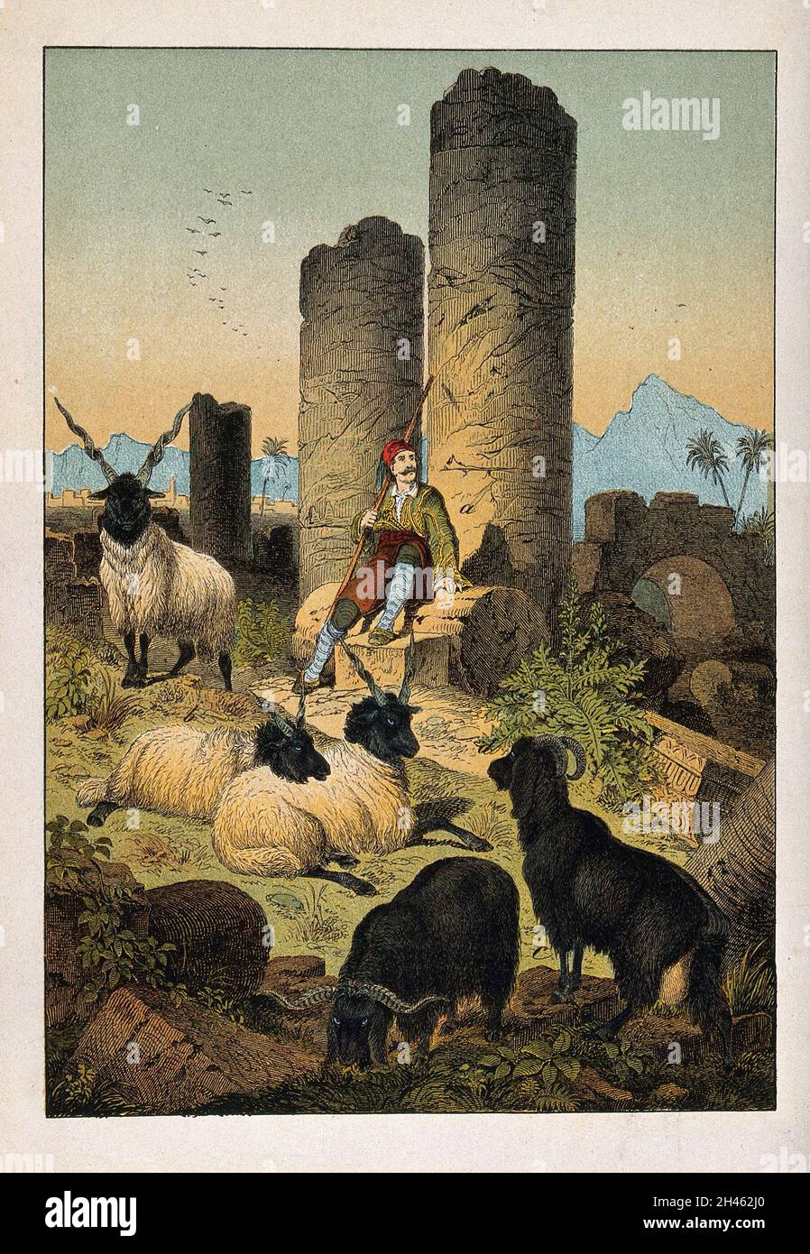 A Greek shepherd resting on the ruins of a temple near his flock ...