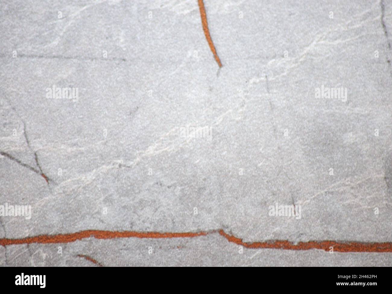 Light gray marble with a few red veins, a close-up of a flat polished ...