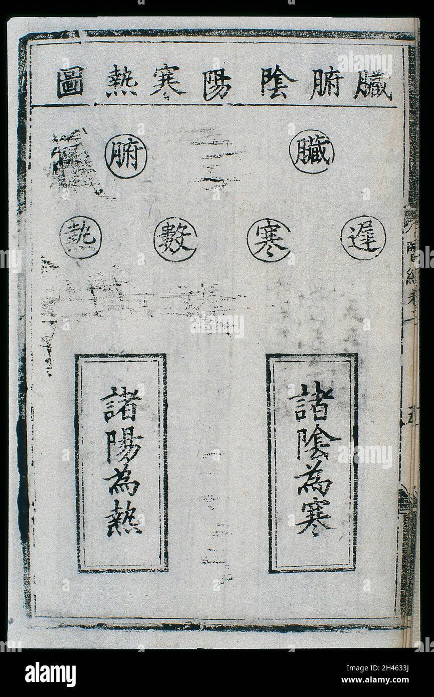 Primer table hi-res stock photography and images - Alamy