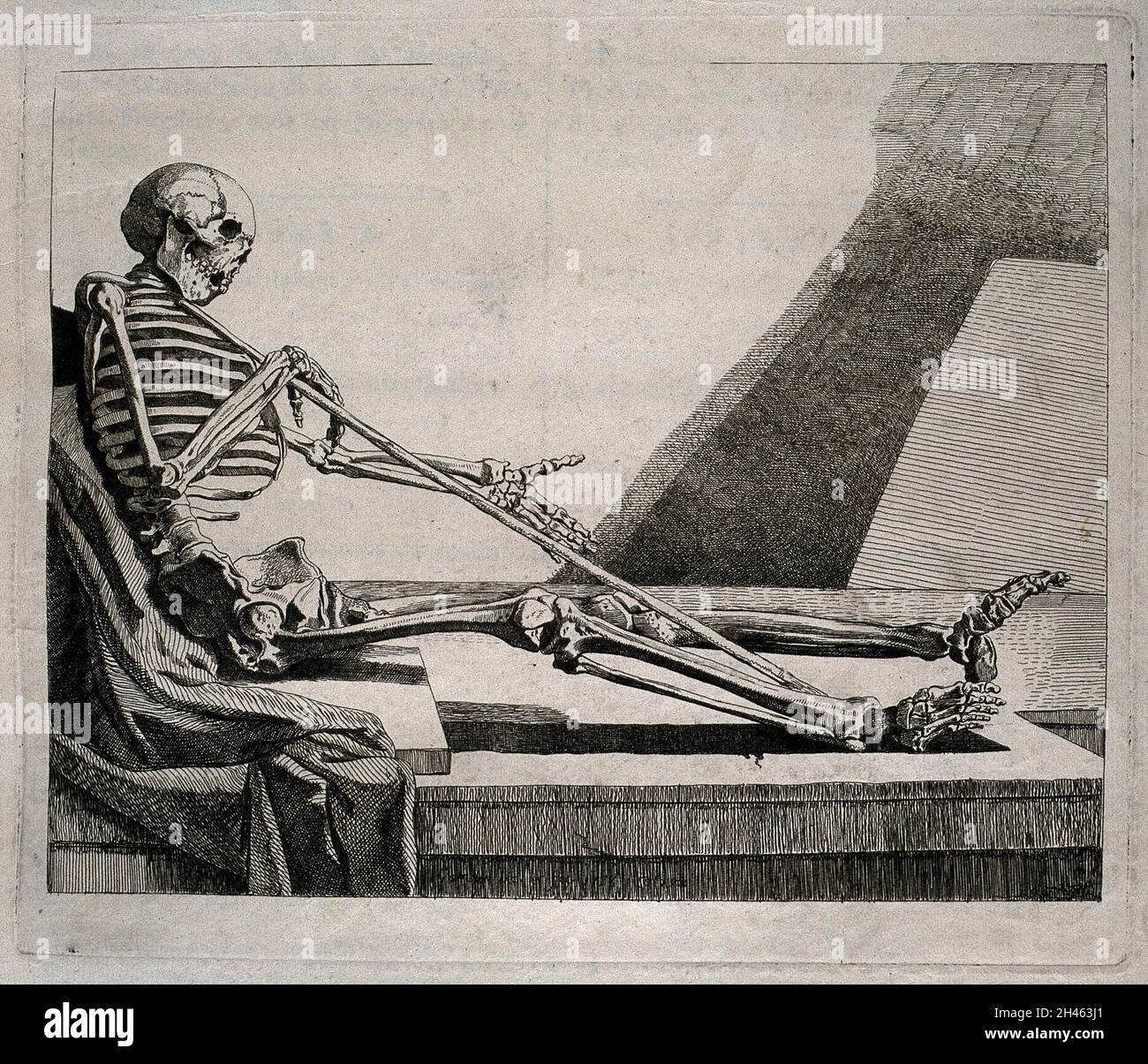 Skeleton holding out hi-res stock photography and images - Alamy