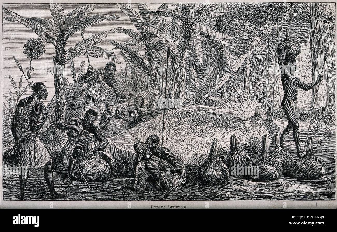 African people brewing pombe beside a pile of sorghum grain. Wood ...