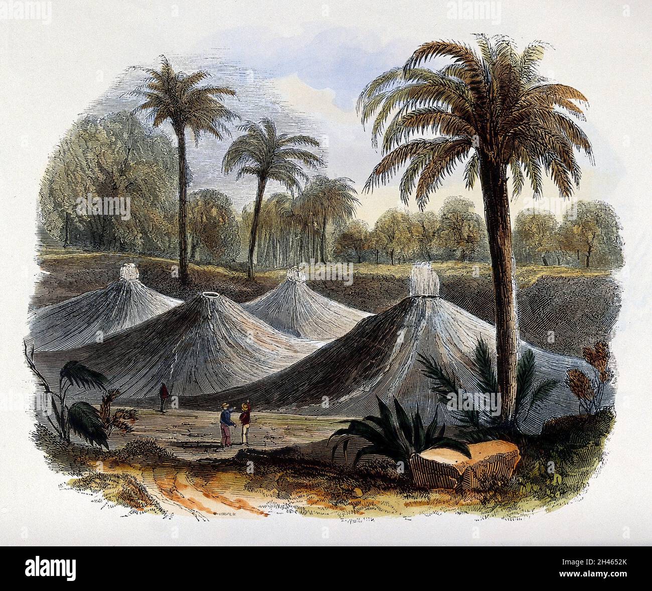 Geography: mounds of volcanic dust. Coloured wood engraving by C ...