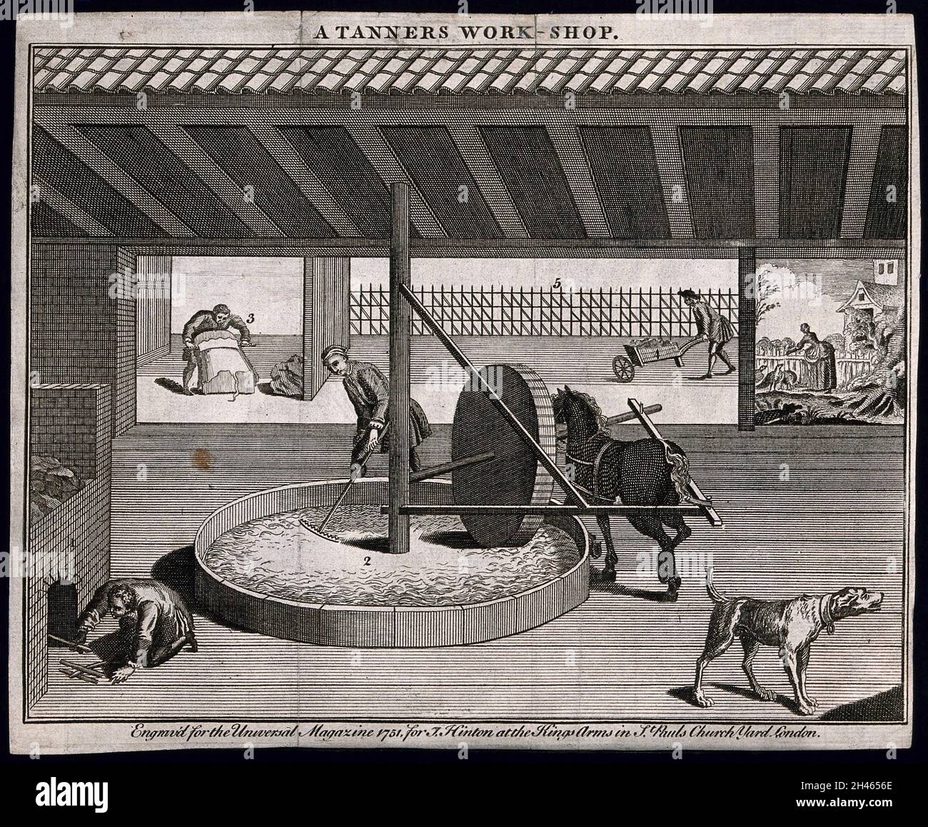 A tannery: interior view, a horse drawn wheel and a furnace with ...