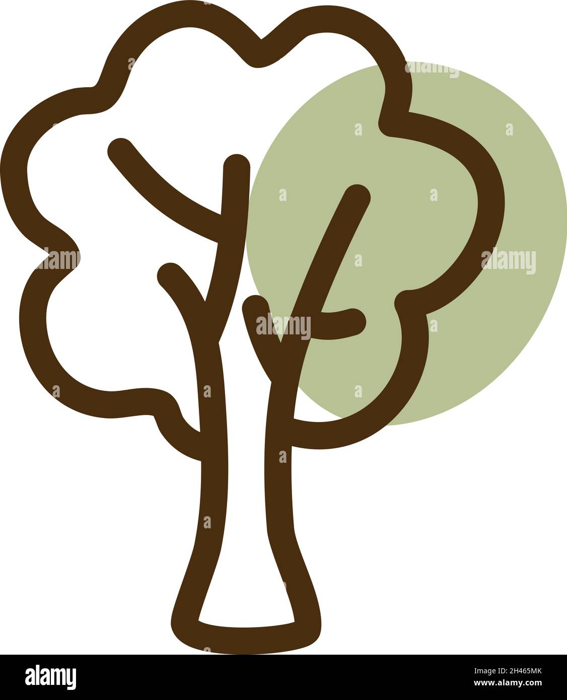 Yellow birch on autumn Stock Vector Images - Alamy