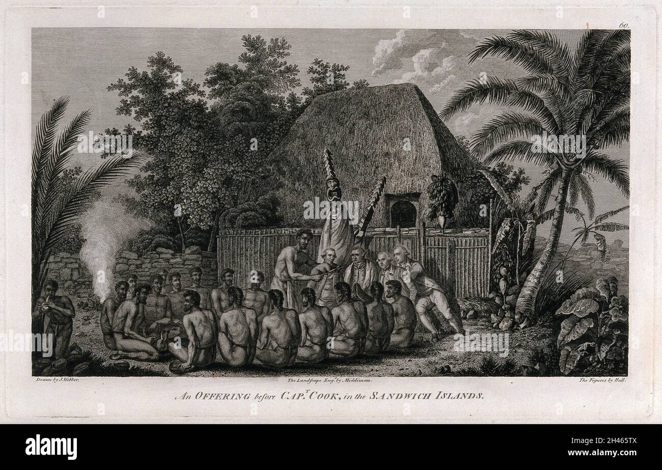 Captain Cook being offered a pig by the inhabitants of the Sandwich ...