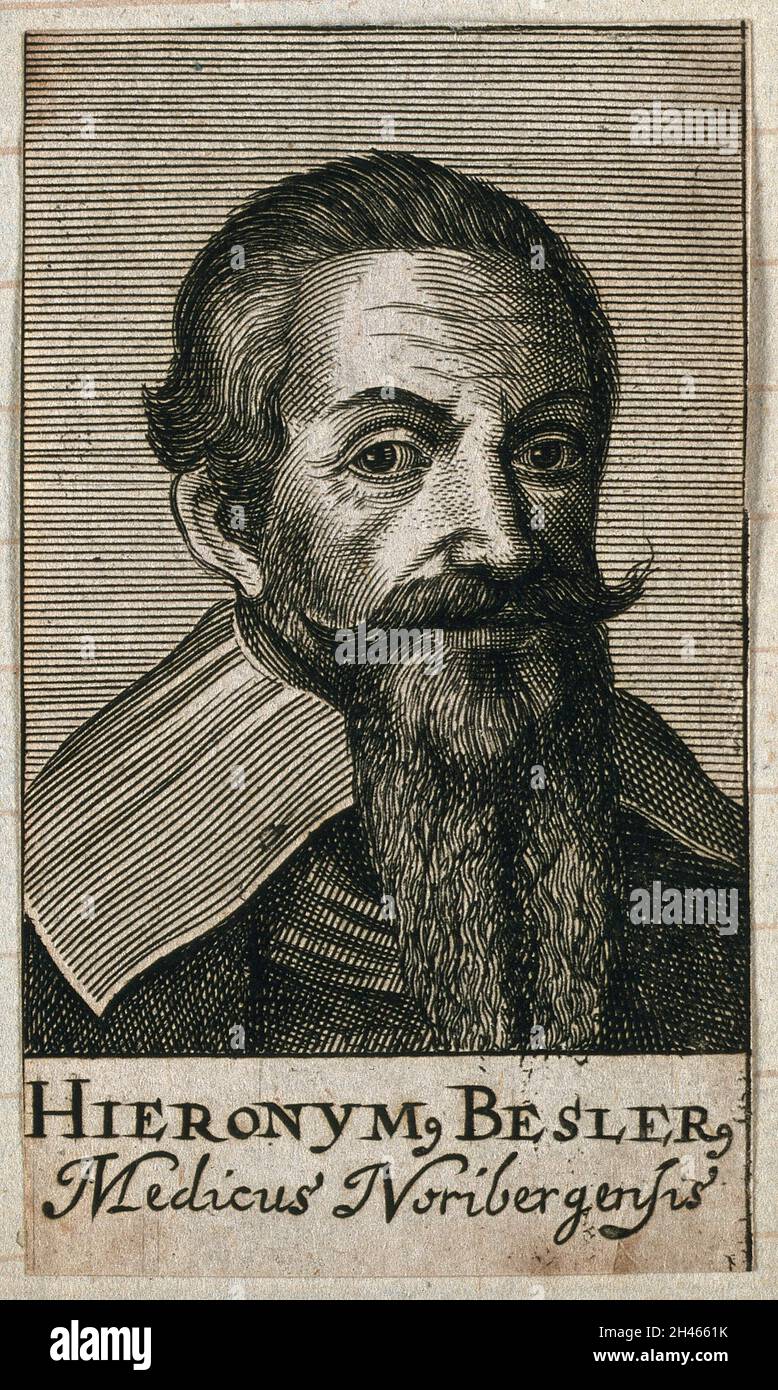 Hieronymus besler hi-res stock photography and images - Alamy