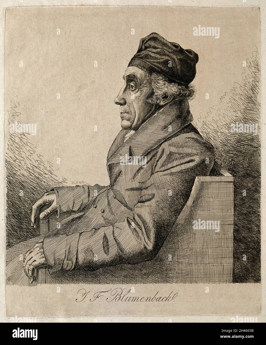 Johann friedrich blumenbach hi-res stock photography and images - Alamy