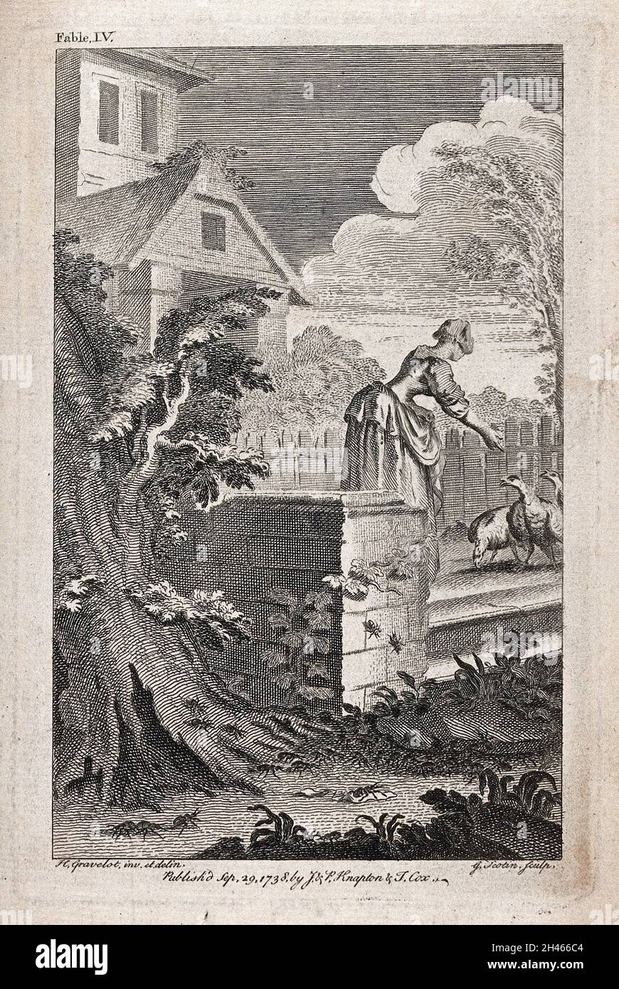 A young maid feeding turkeys in the yard. Etching by G. Scotin after H ...