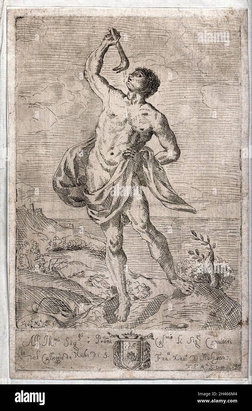 Jawbone samson hi-res stock photography and images - Alamy