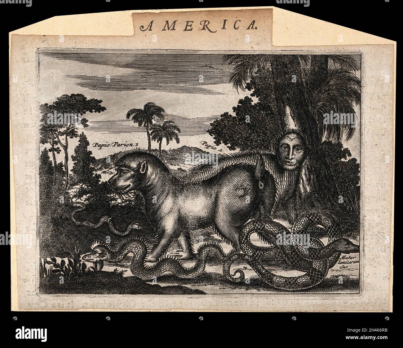 America: grotesque animals with human heads and serpents. Etching Stock ...