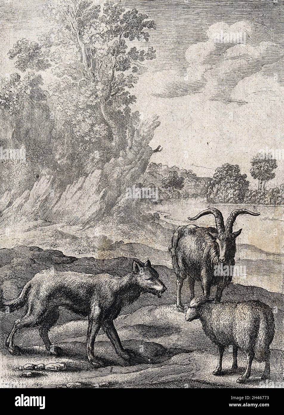 A wolf and a lamb are standing in a wooded landscape with a goat behind ...