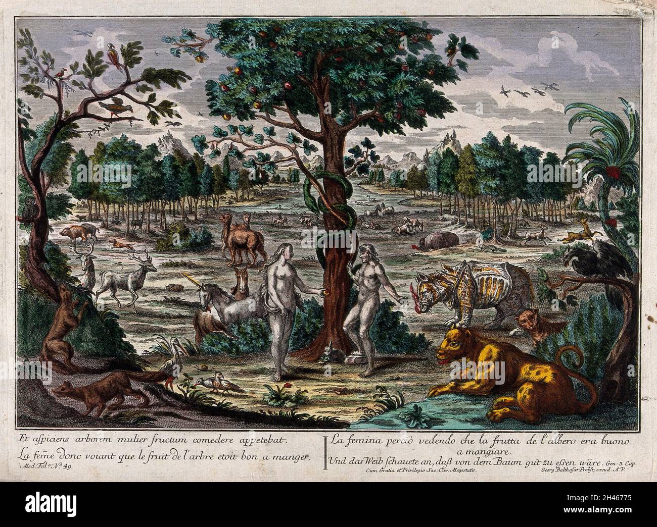 In the Garden of Eden, while the serpent curls around the tree of ...