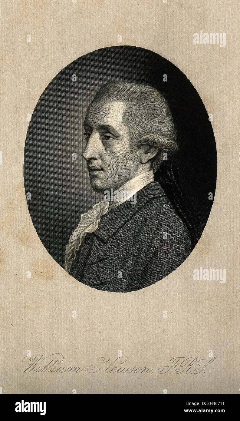 William Hewson. Stipple engraving by R. Stewart, 1780 Stock Photo - Alamy