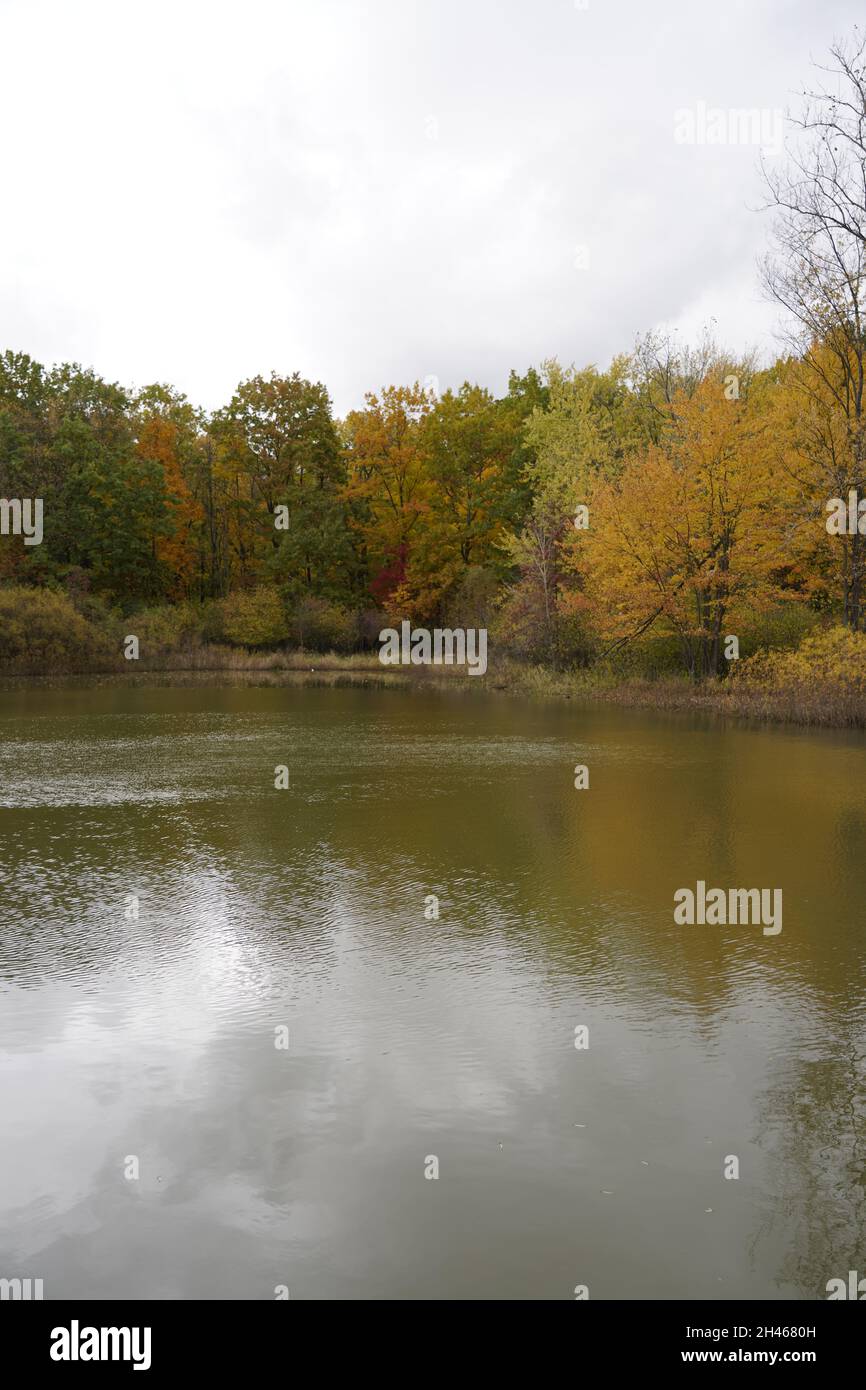 Prince pond hi-res stock photography and images - Alamy