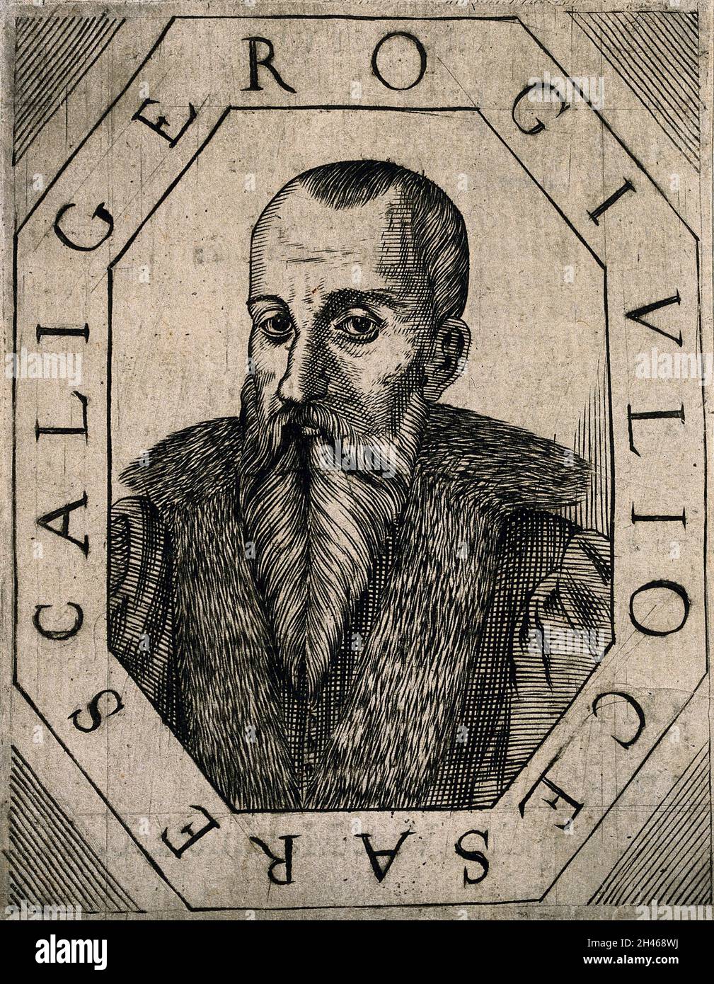 Julius caesar scaliger hi-res stock photography and images - Alamy