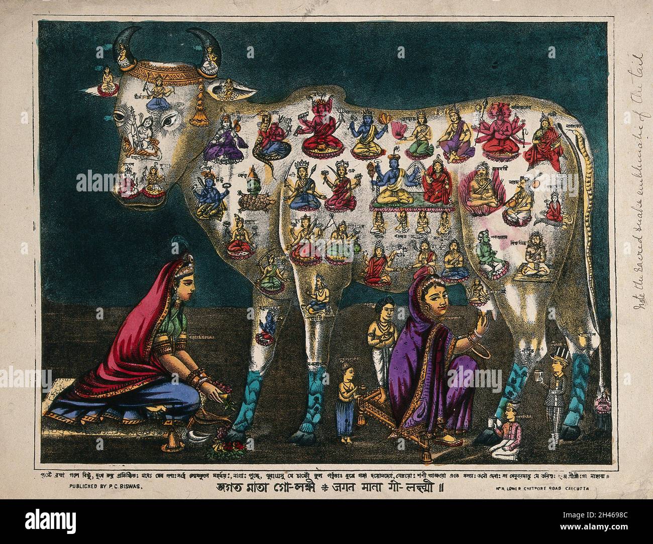 The cow as mother of the world: with pictures of Hindu deities all over ...