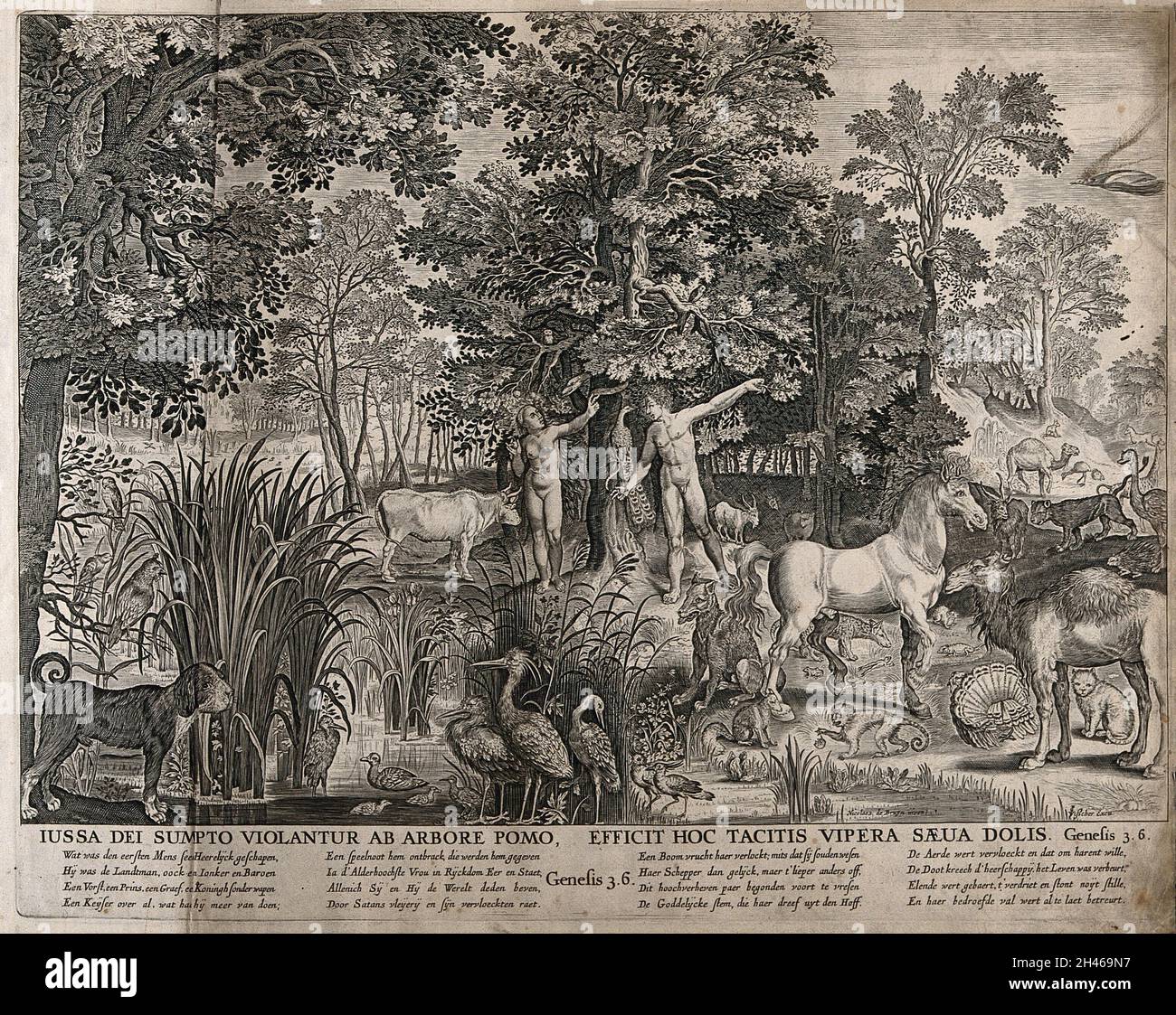 Adam and Eve with the serpent and other animals in the garden of Eden ...