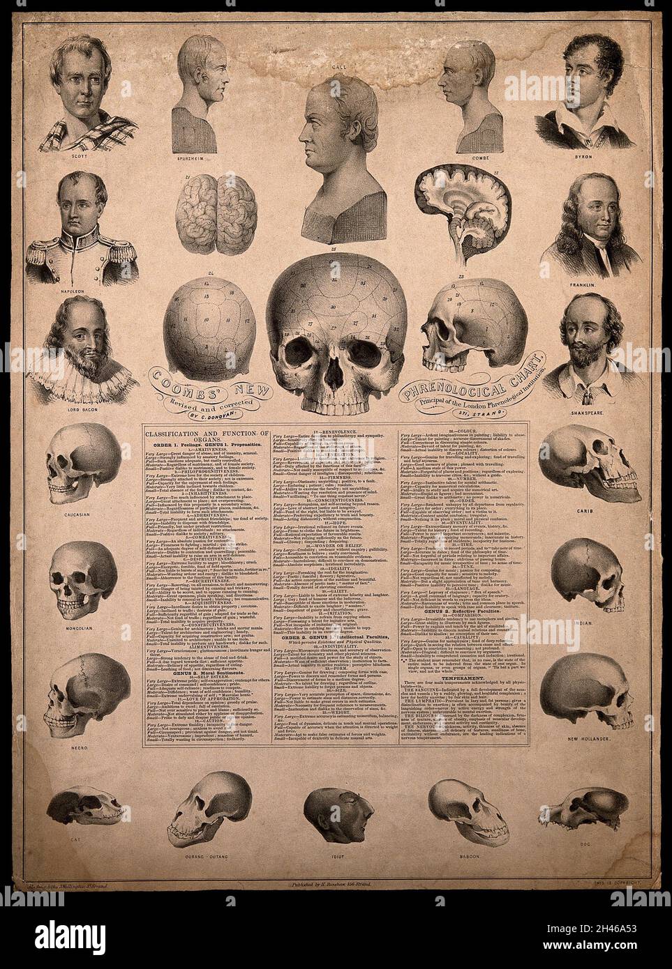 Phrenological chart with portraits of historical figures and ...