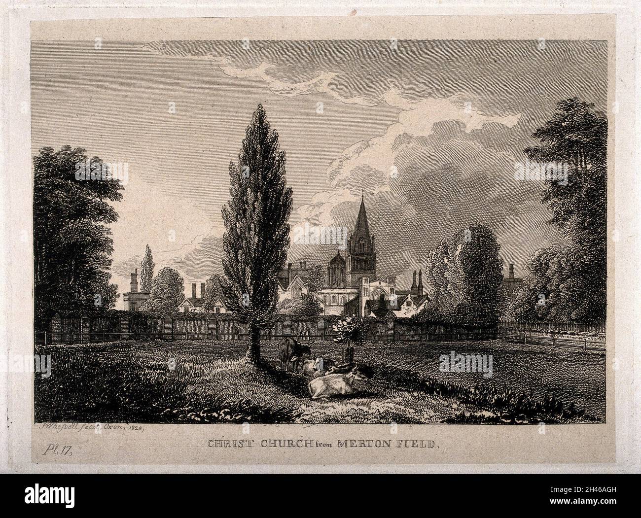 Christ Church, Oxford: from Merton field. Etching by J. Whessell, 1820 ...