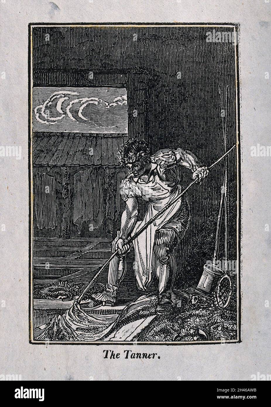 Tannery: interior view, a tanner working and tools of the trade ...