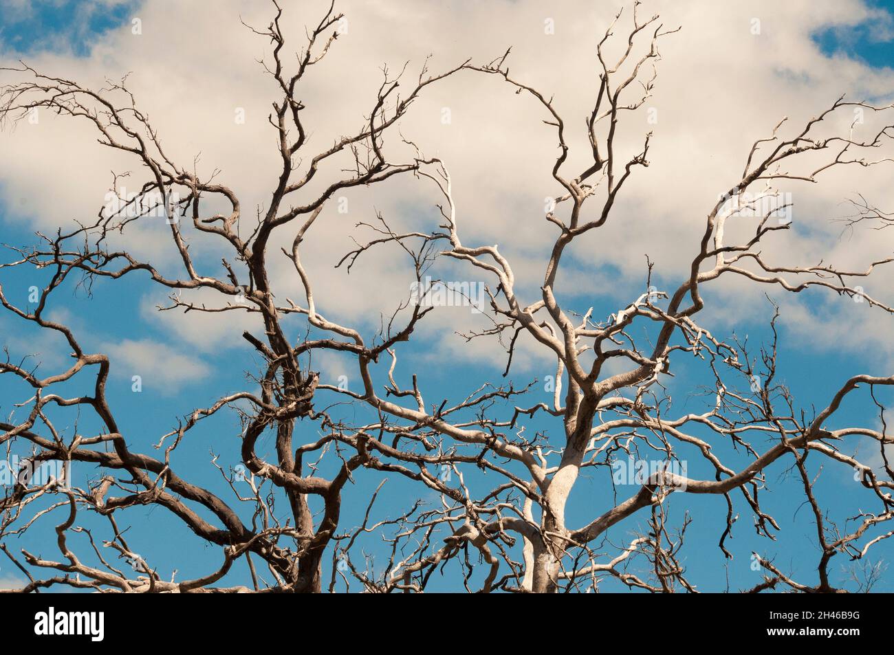You Yangs Regional Park, Little River, Victoria, Australia Stock Photo ...