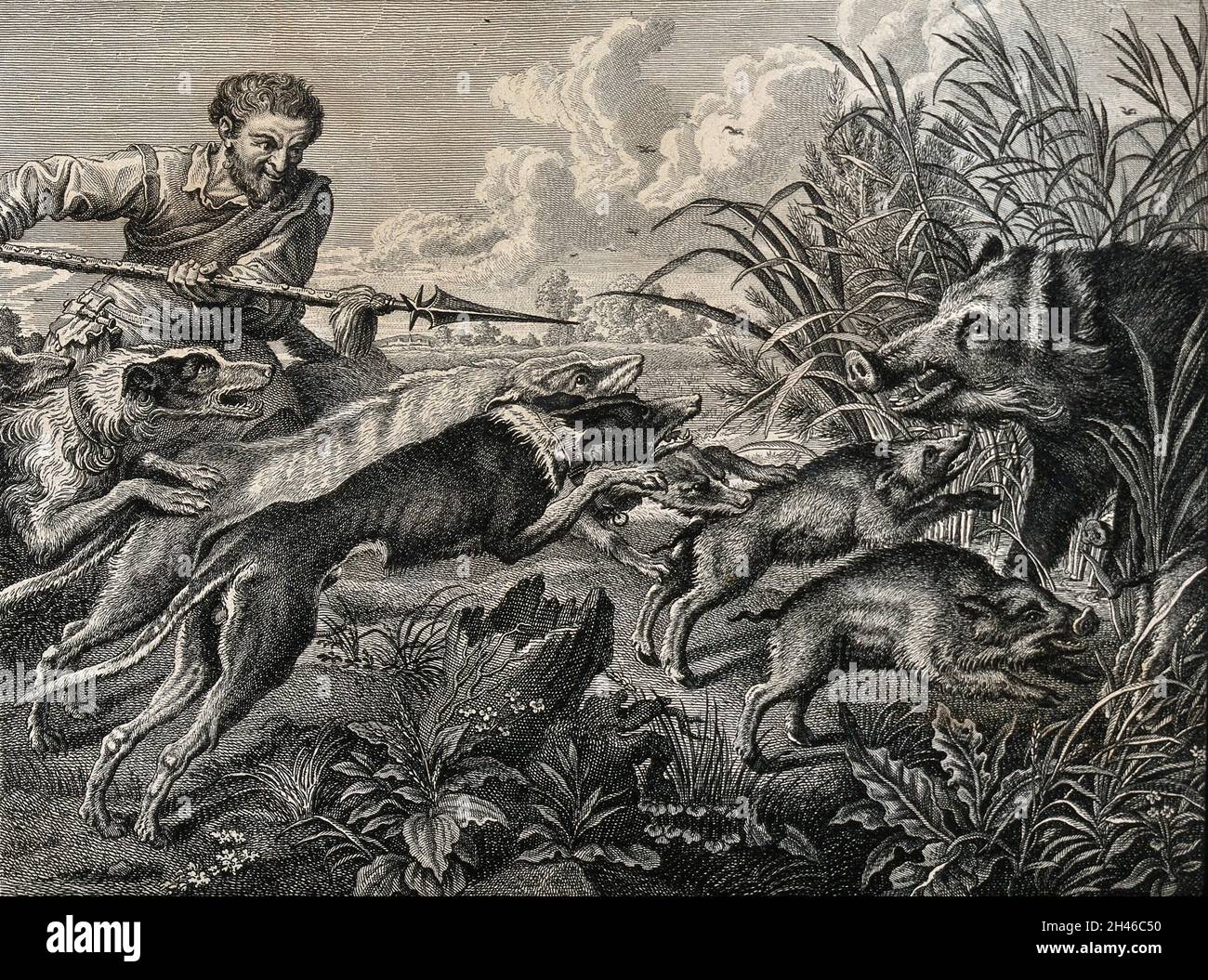 Wild Boar Attacks Hunter