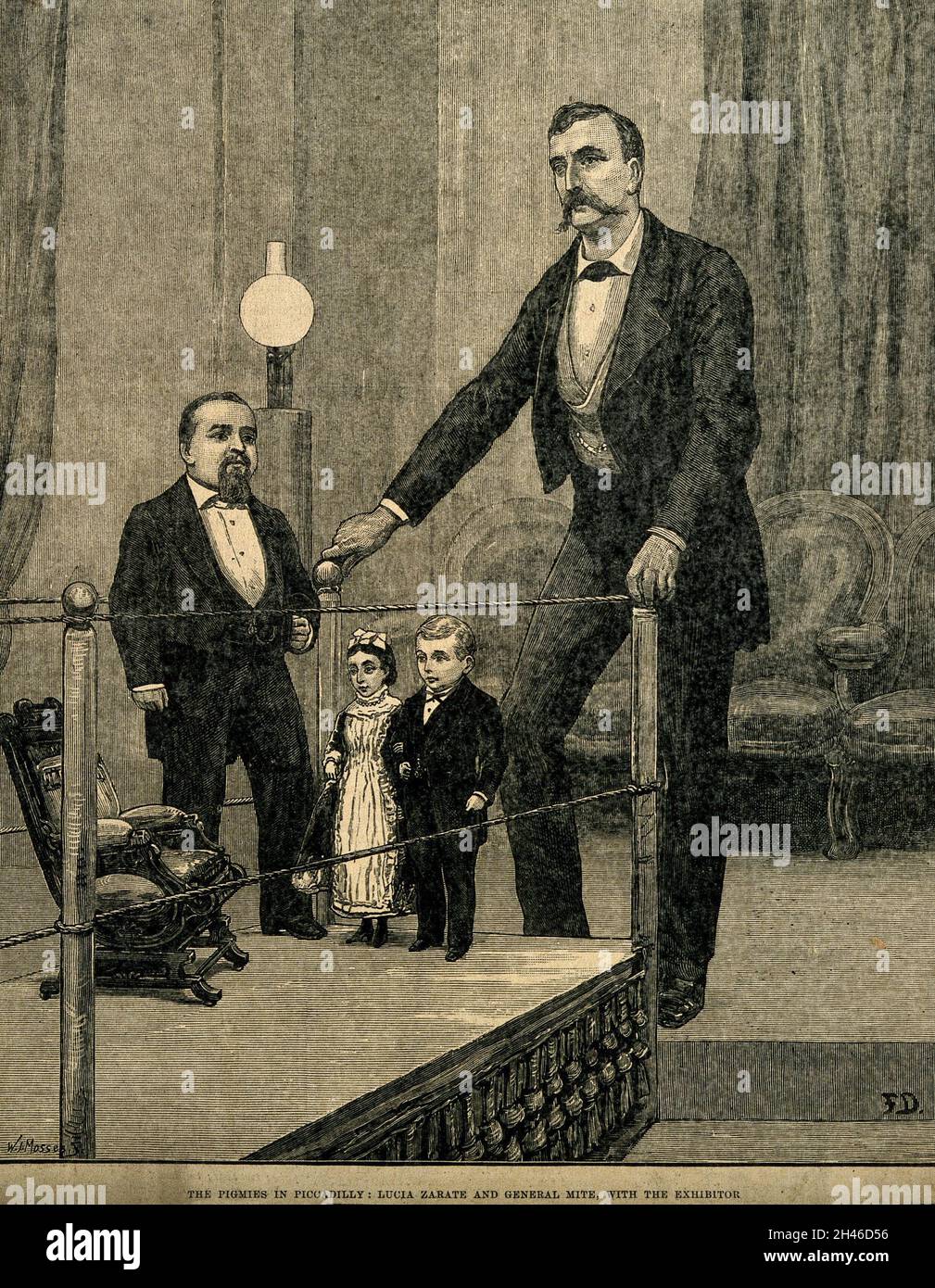 Lucia Zarate The Puppet Woman