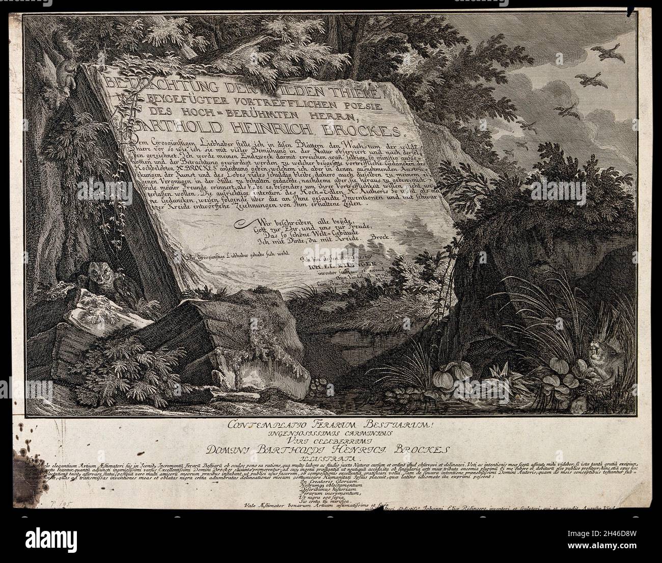 An inscribed stoneplate embedded in the ground in a forest surrounded ...