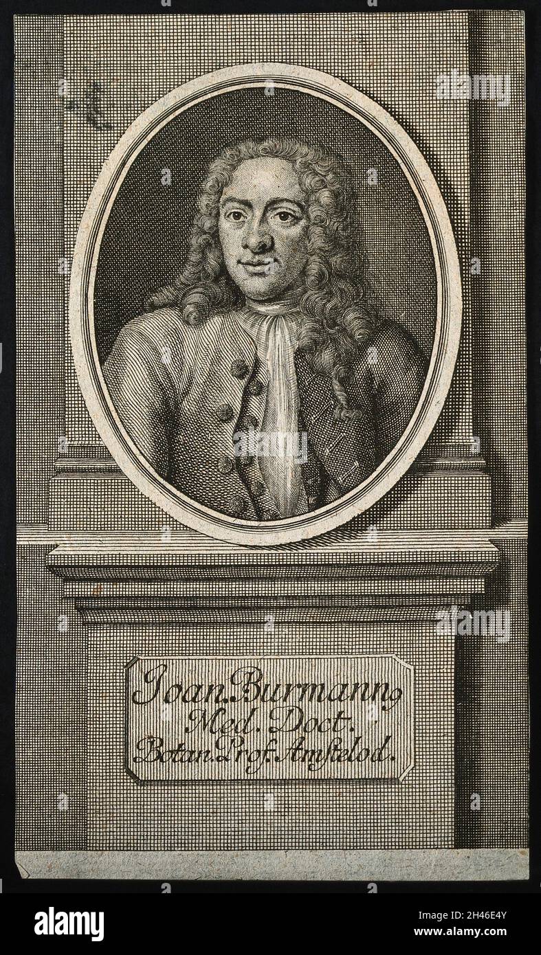 Burmann hi-res stock photography and images - Alamy