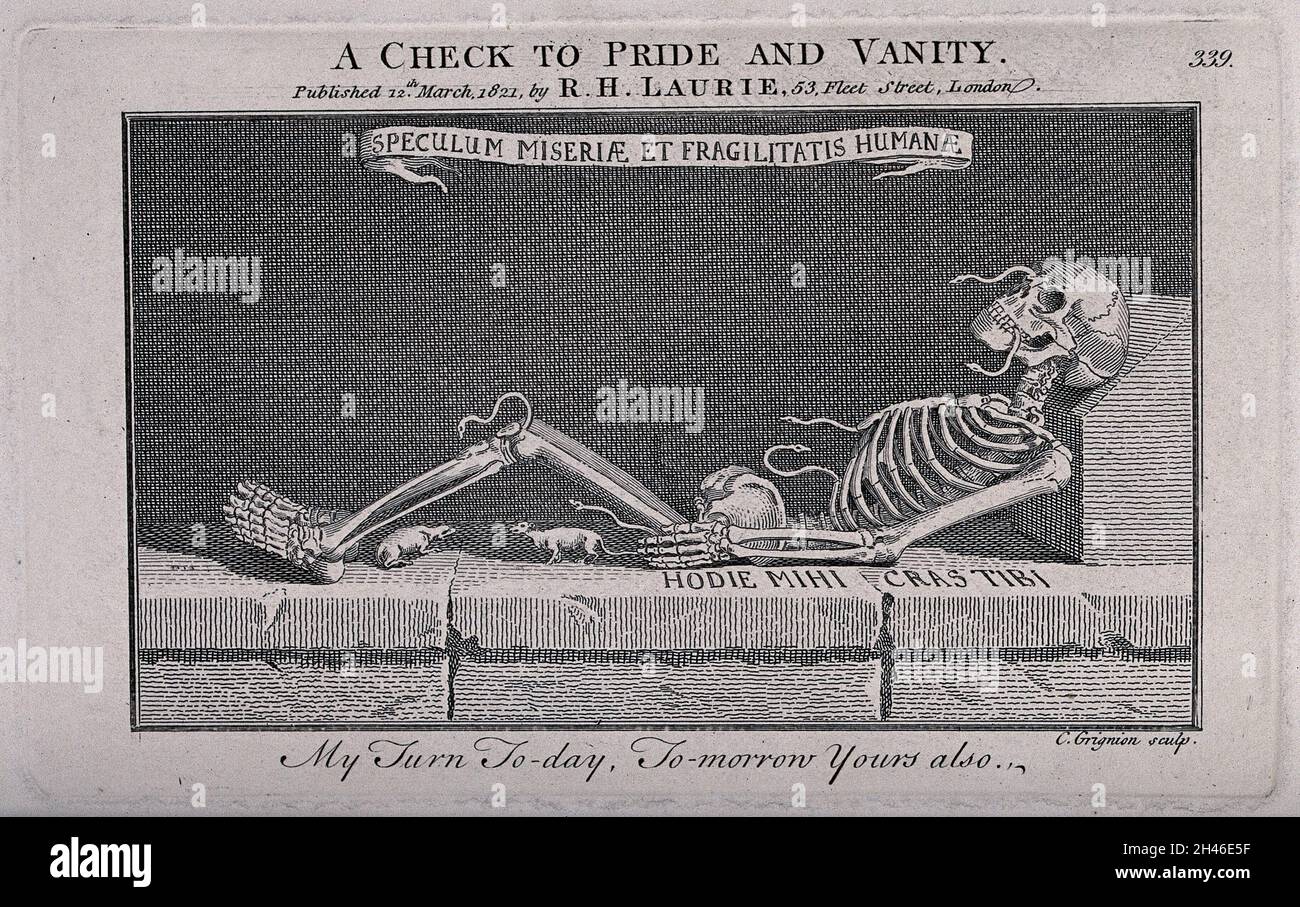 Rats snakes hi-res stock photography and images - Alamy