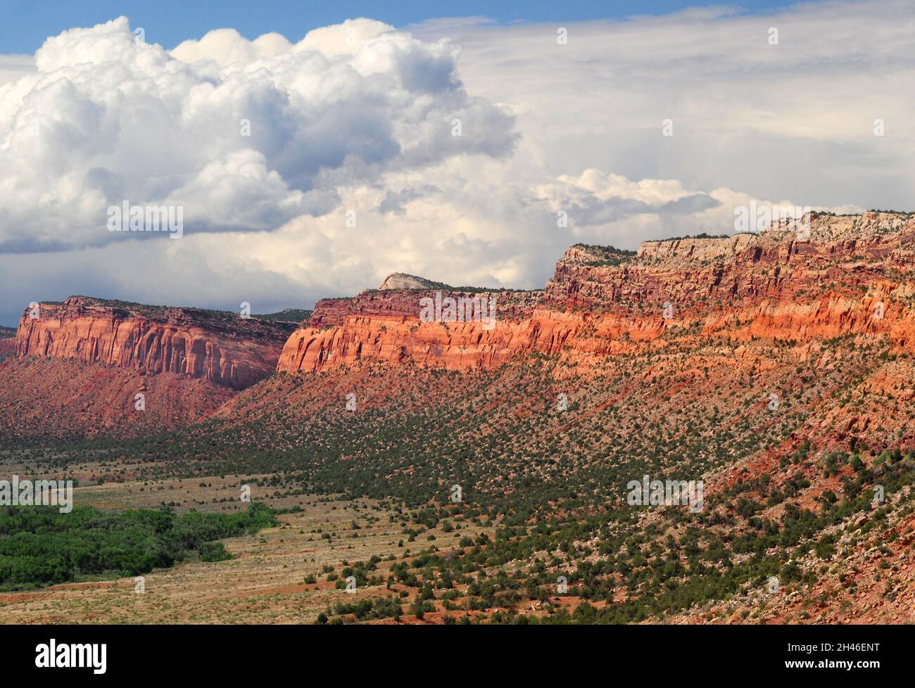 Ecosystem utah hi-res stock photography and images - Alamy