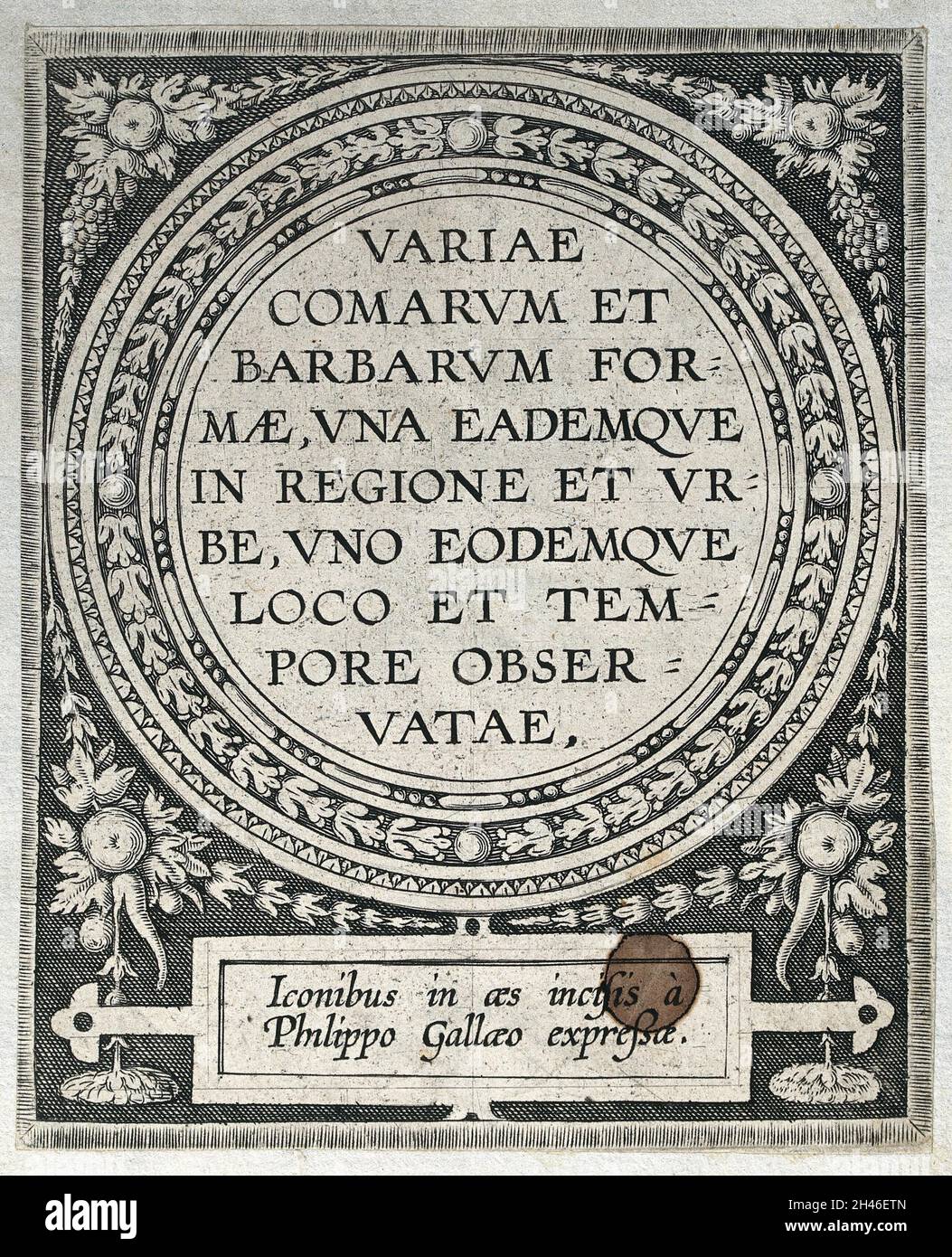 Variae comarum et barbarum formae hi-res stock photography and images ...