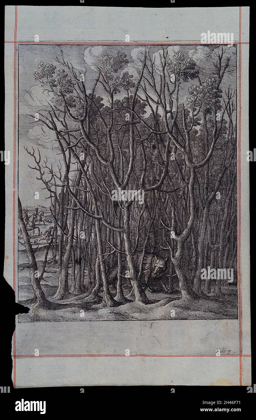 Thorn bushes hi-res stock photography and images - Alamy