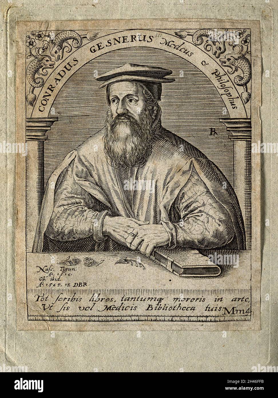 Conrad gesner hi-res stock photography and images - Alamy