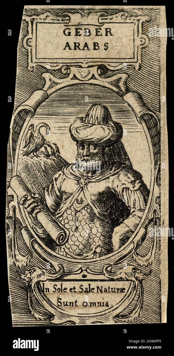 See geber hi-res stock photography and images - Alamy