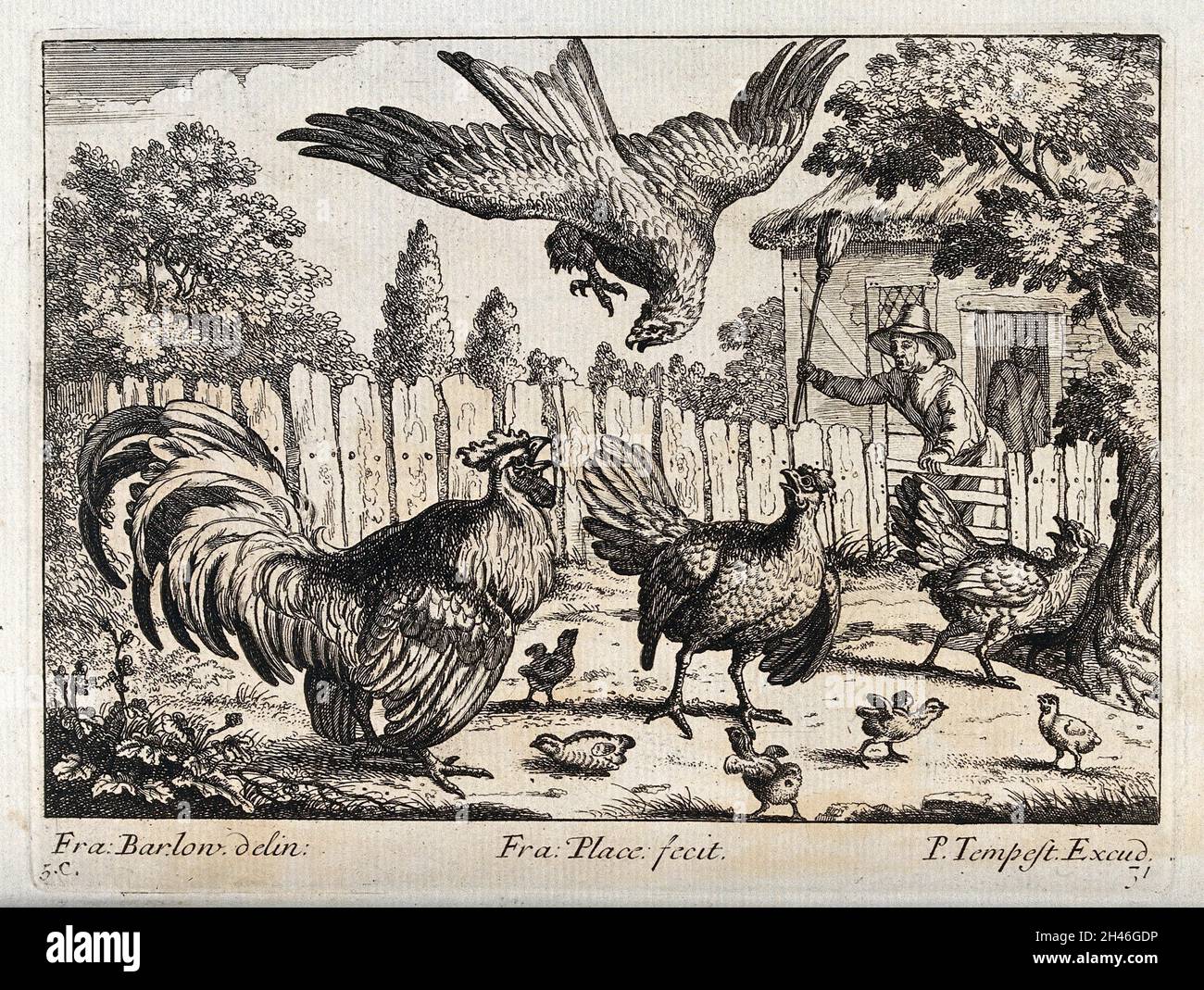 Swooping hi-res stock photography and images - Alamy