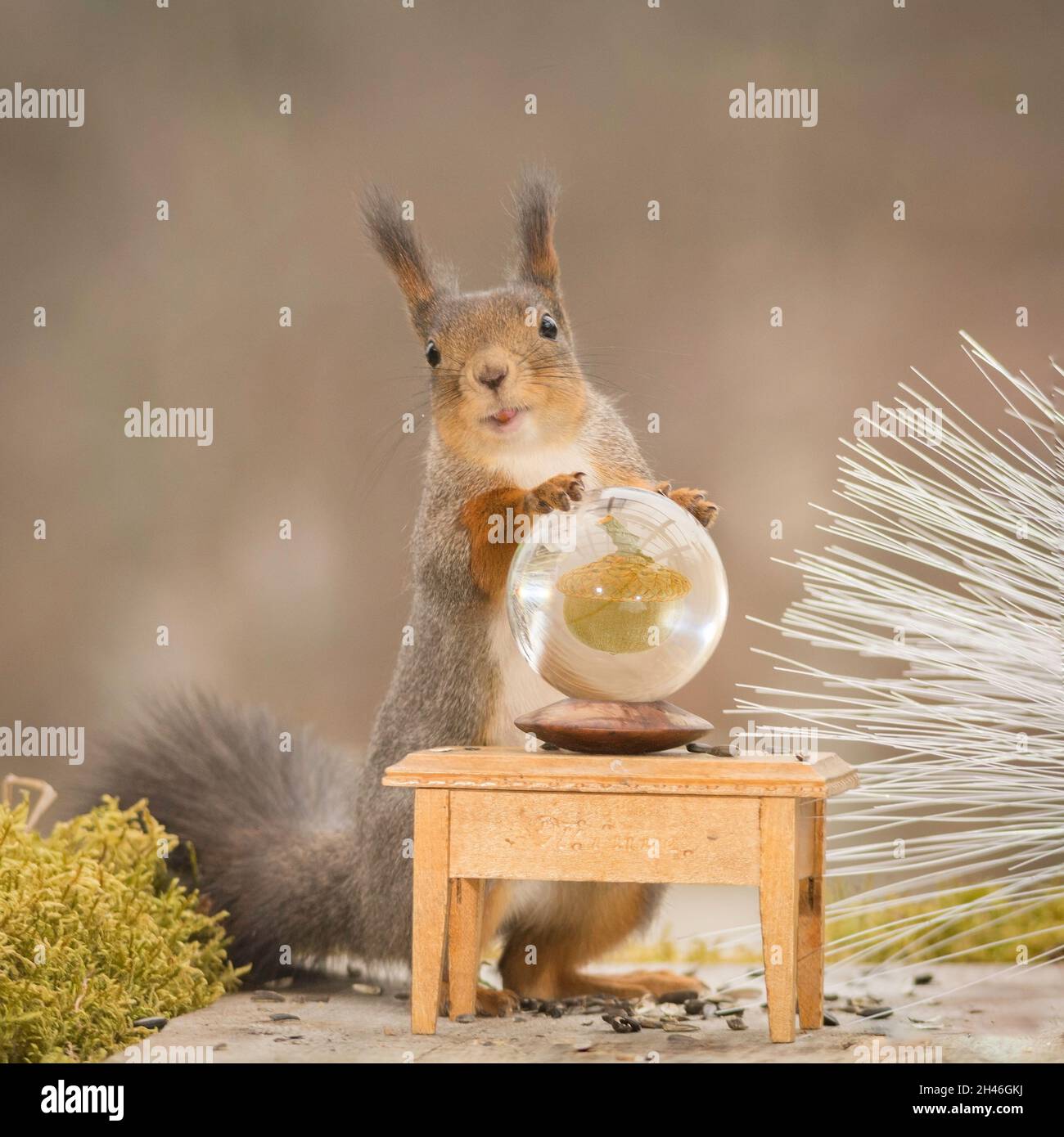 Krystal ball hi-res stock photography and images - Alamy