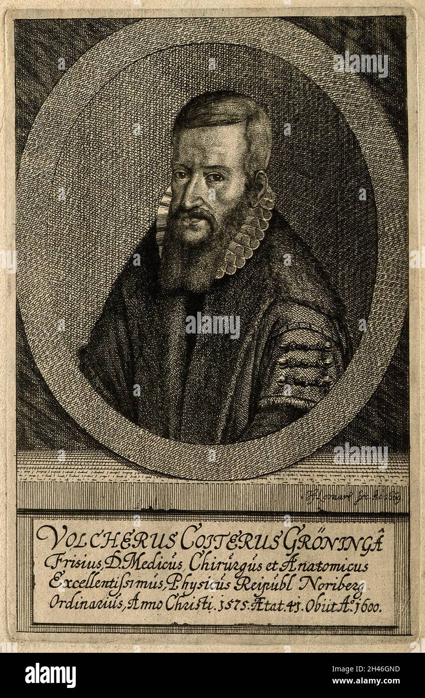 Volcher Coiter. Etching by J. F. Leonart, 1669, after N. Neufchatel ...