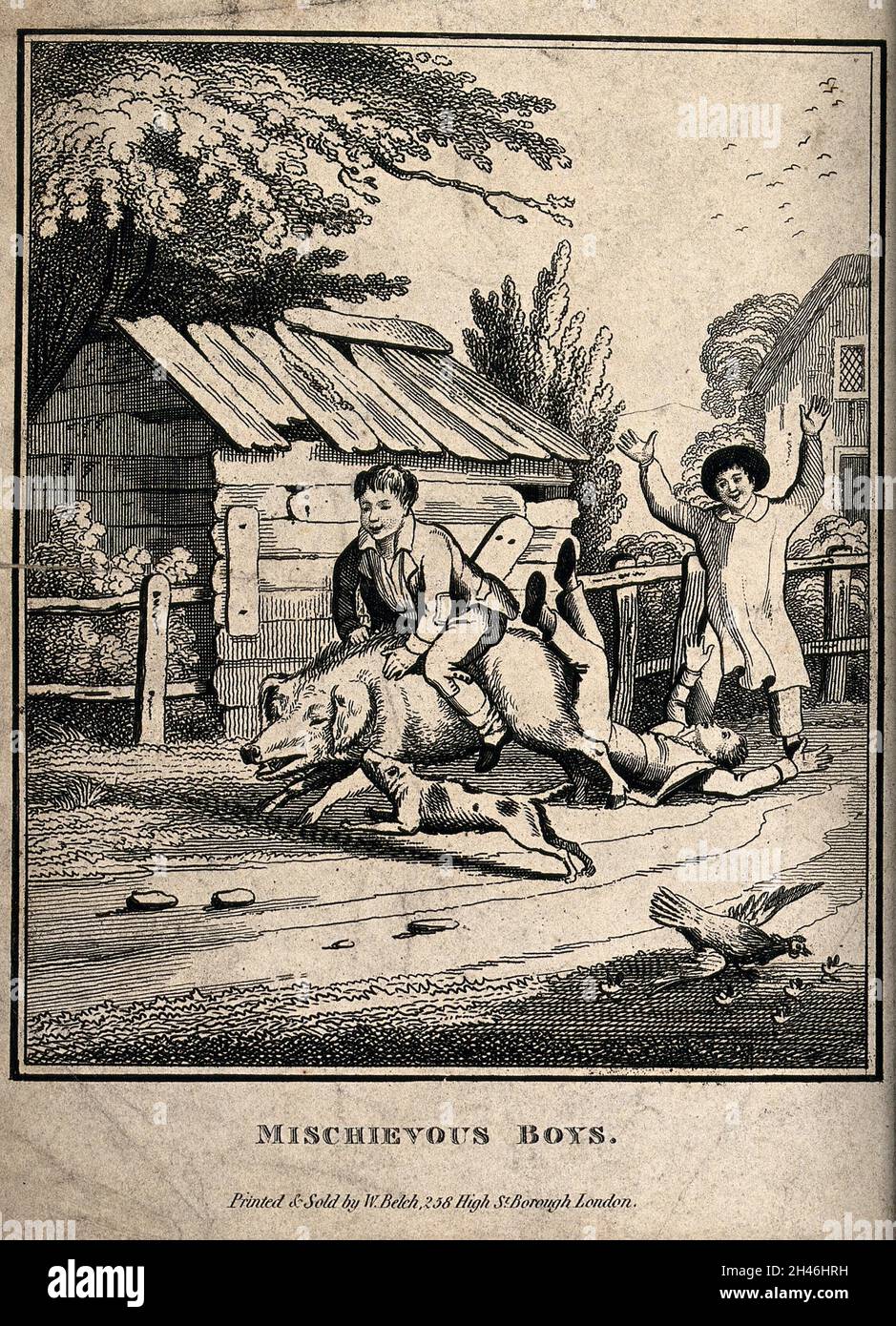 A boy rides on the back of a pig scattering the chickens, one boy falls ...