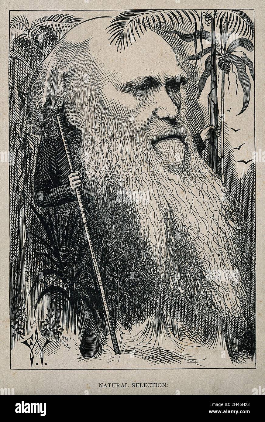 Robert f wood hi-res stock photography and images - Alamy