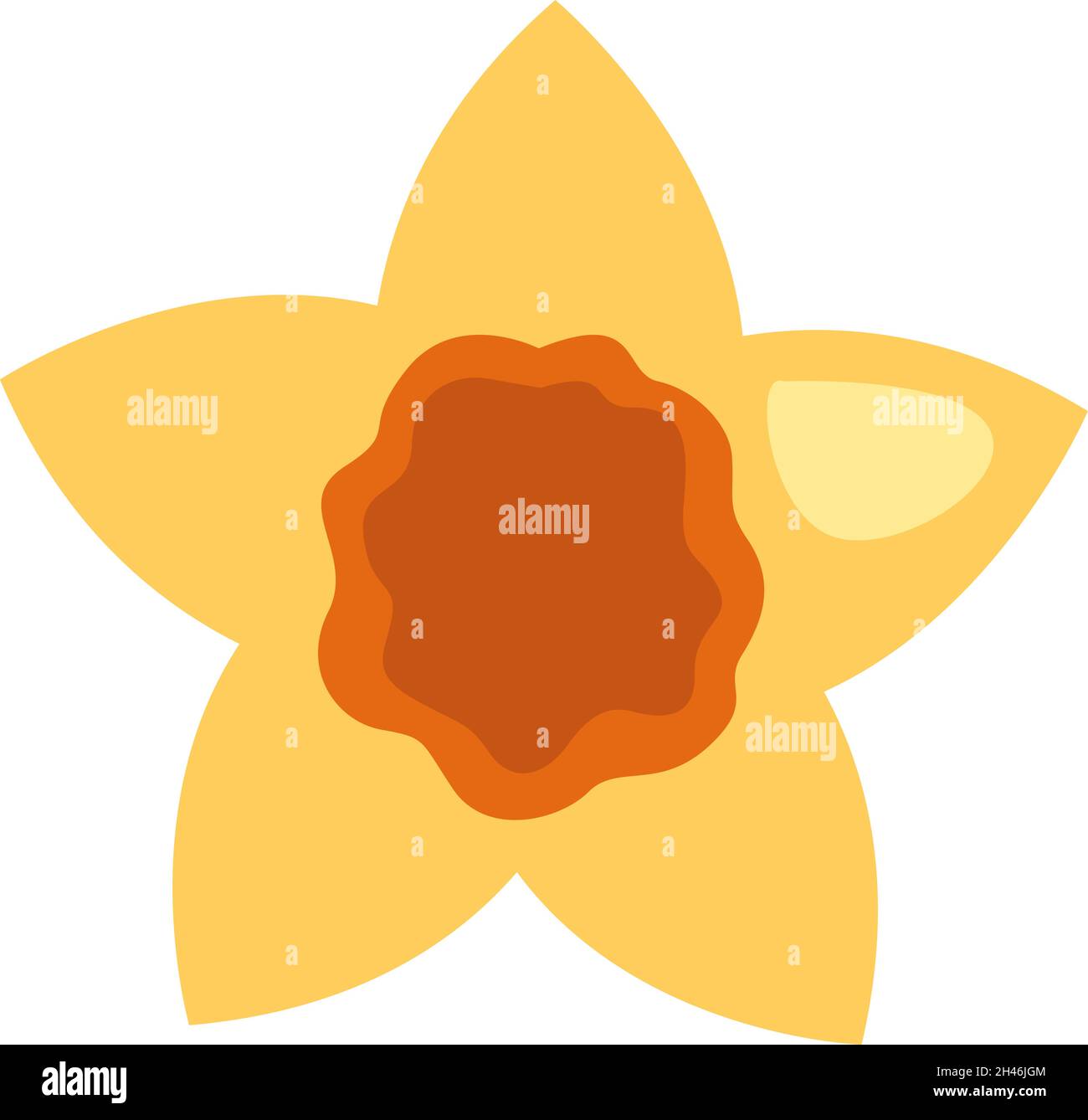 Yellow Narcissus flower, illustration, vector, on a white background ...