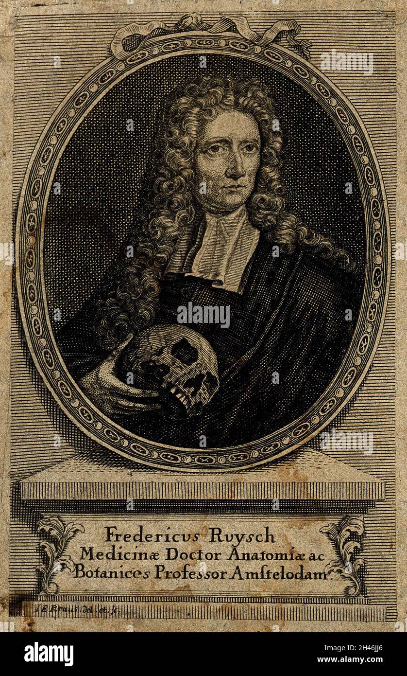 Frederik ruysch hi-res stock photography and images - Alamy