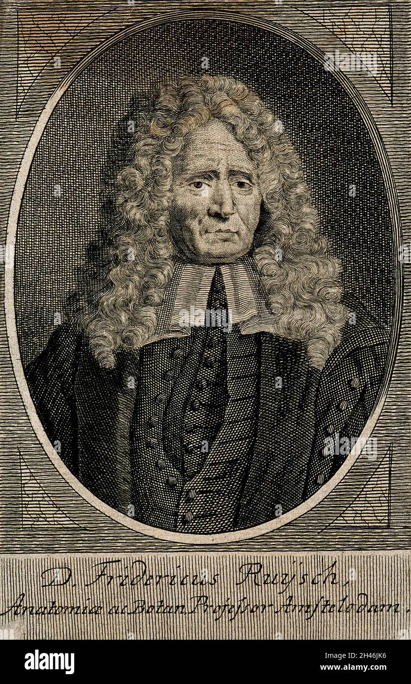 Frederik ruysch hi-res stock photography and images - Alamy