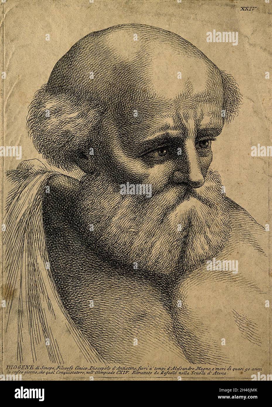 Diogenes. Line engraving after Raphael Stock Photo - Alamy