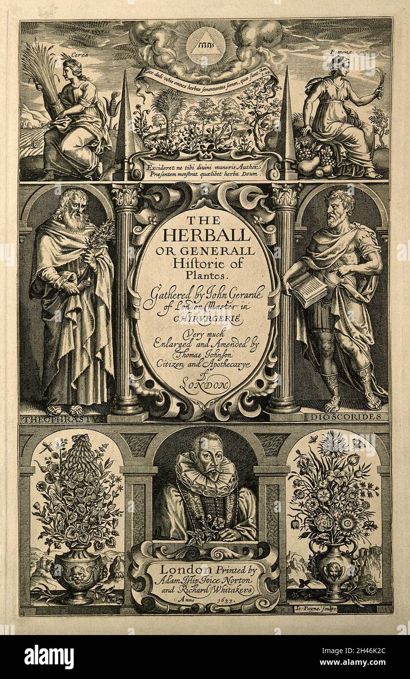 John Gerard: portrait and botanical motifs. Line engraving by J. Payne ...